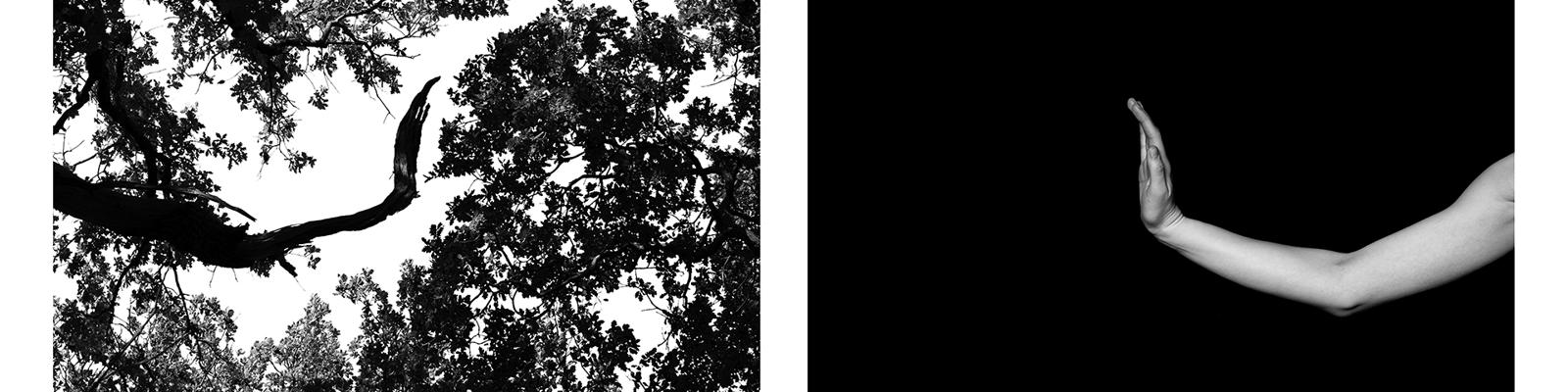 Dr Tom Slevin academic profile